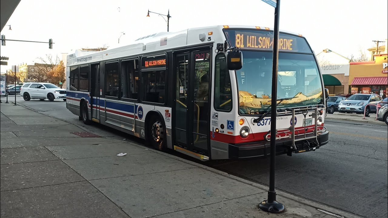 CTA 2022 Nova Bus LFS 8377 On Rt 81 Lawrence - YouTube