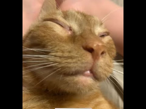 fivem lonestar rp - YouTube