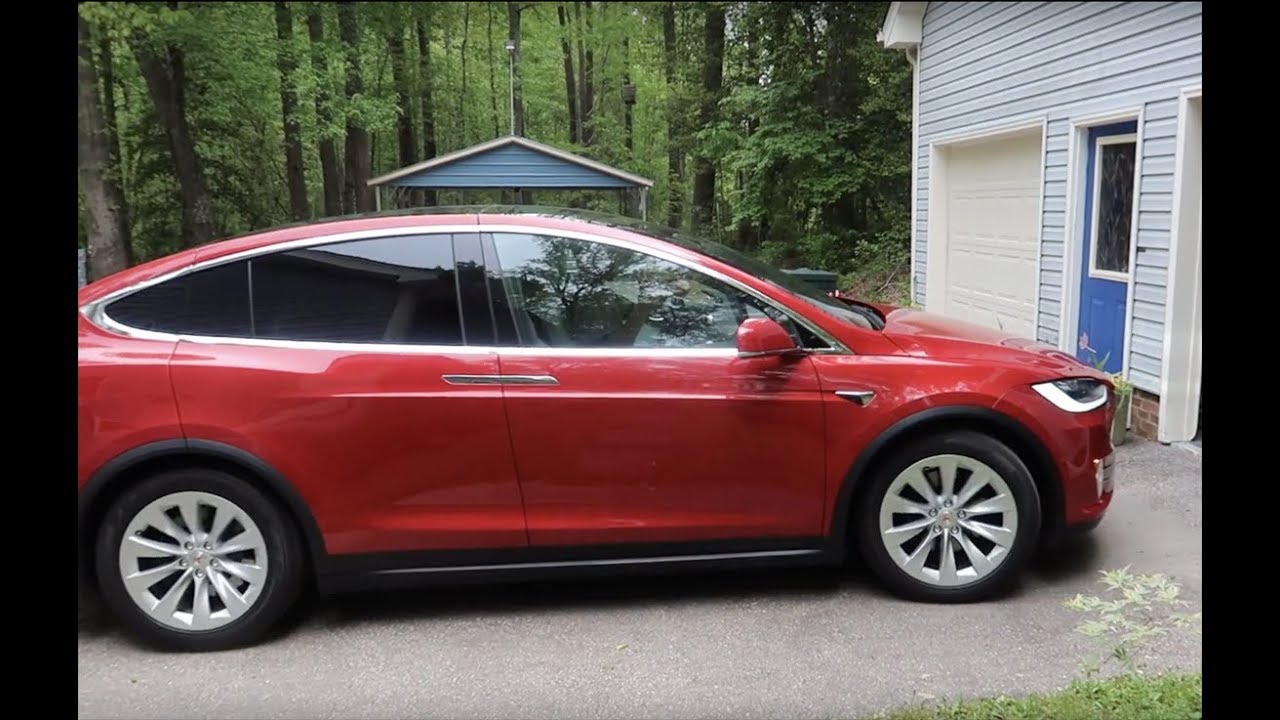 Day 680 Tesla Ruby Supports We the People - YouTube