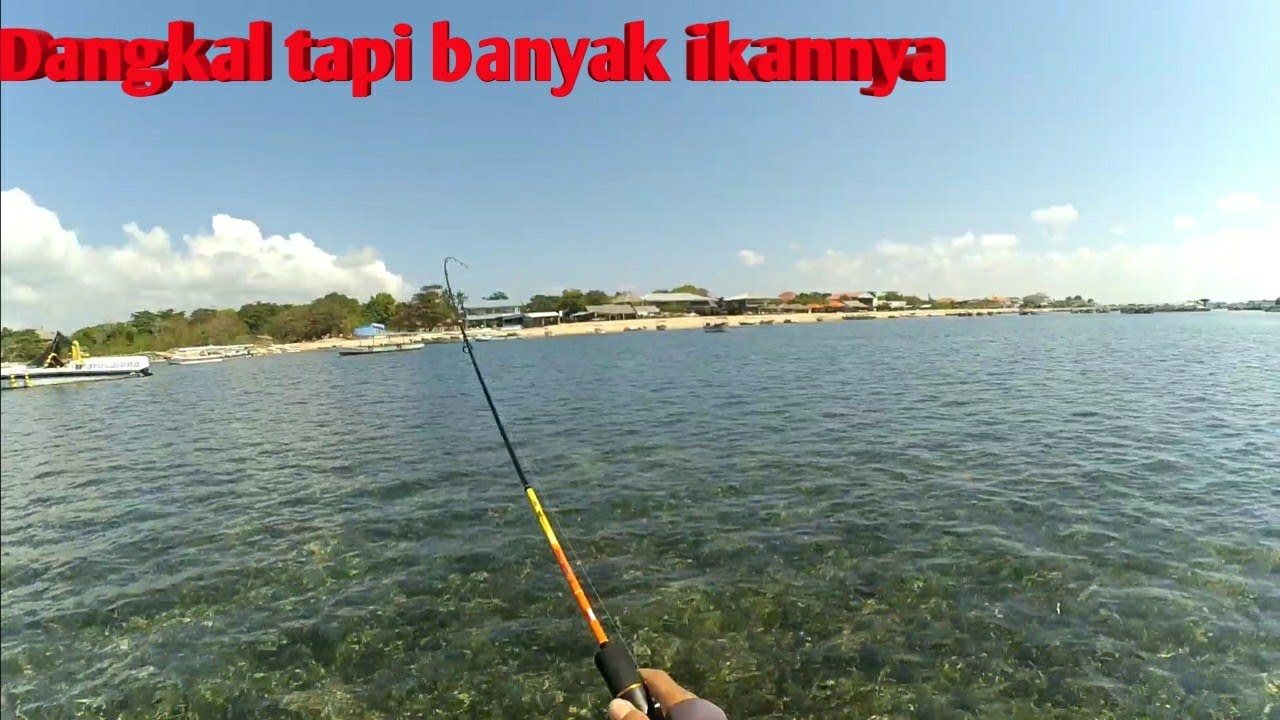 Spot mancing di bali ,ada di tanjung benoa ikannya gak habis-habis ...