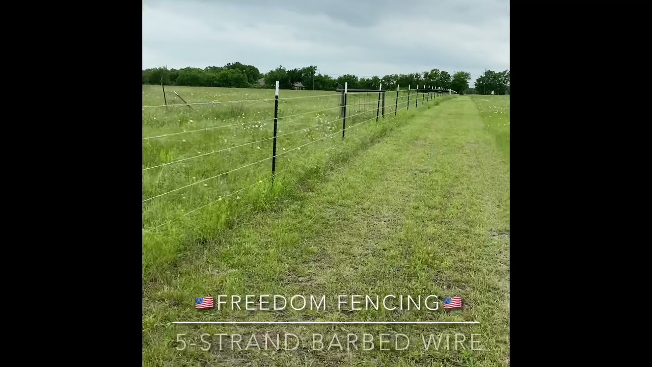 Freedom Fencing - 5 Strand Barbed Wire - YouTube