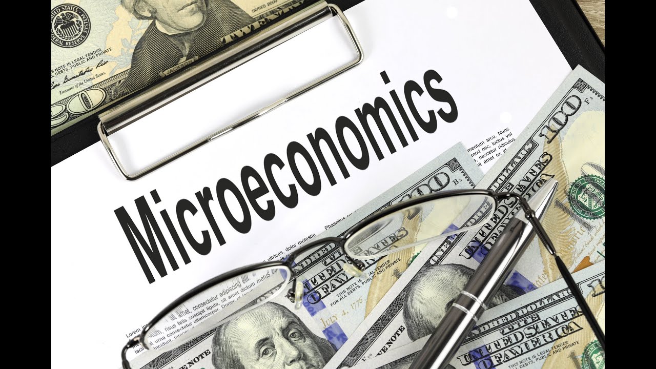 Microeconomics: Understanding the Basics of Economic Behavior (16 ...