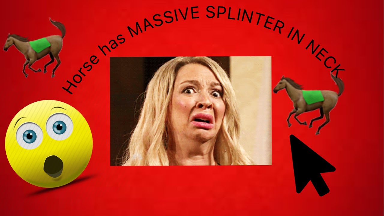 Horse has MASSIVE SPLINTER REMOVED🤑 - YouTube
