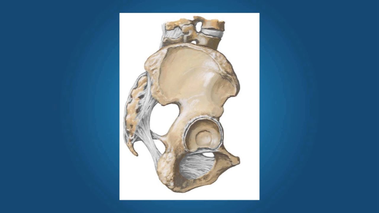 Prueba de Gillet - YouTube