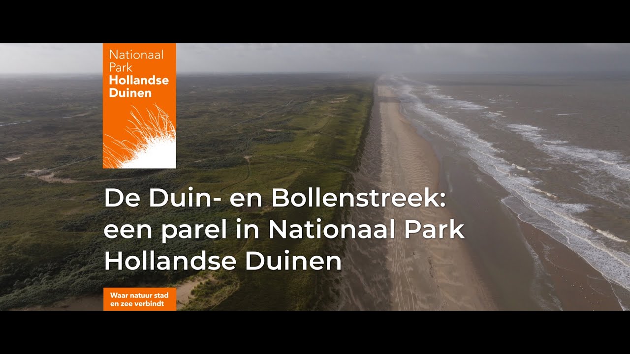 De Duin- en Bollenstreek: een parel in Nationaal Park Hollandse Duinen ...