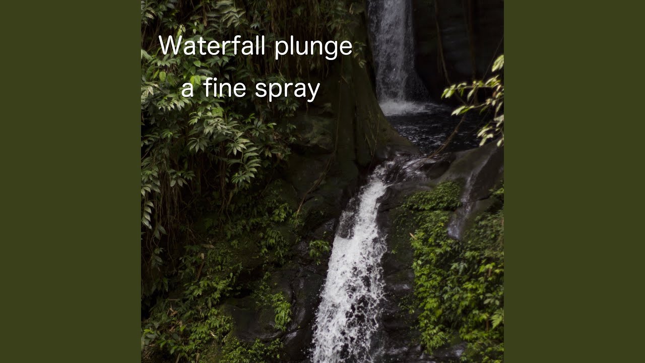 Liebestraume No3 (Rapid Edit) - YouTube