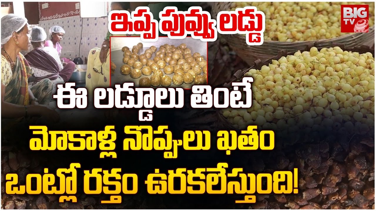 ఇప్పపువ్వు తో ఆరోగ్యకరమైన లడ్డు | Ippa Puvvu Laddu Health Benifits ...