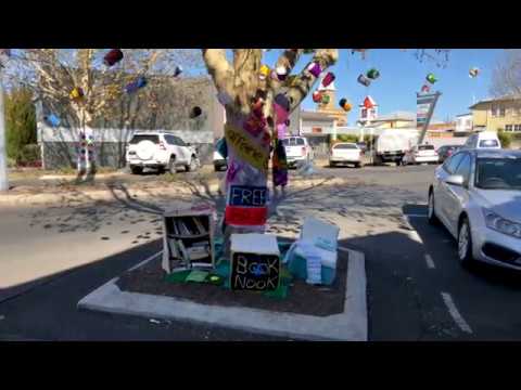 Trees Wearing Jumpers in Warwick Queensland Australia 2018 - YouTube