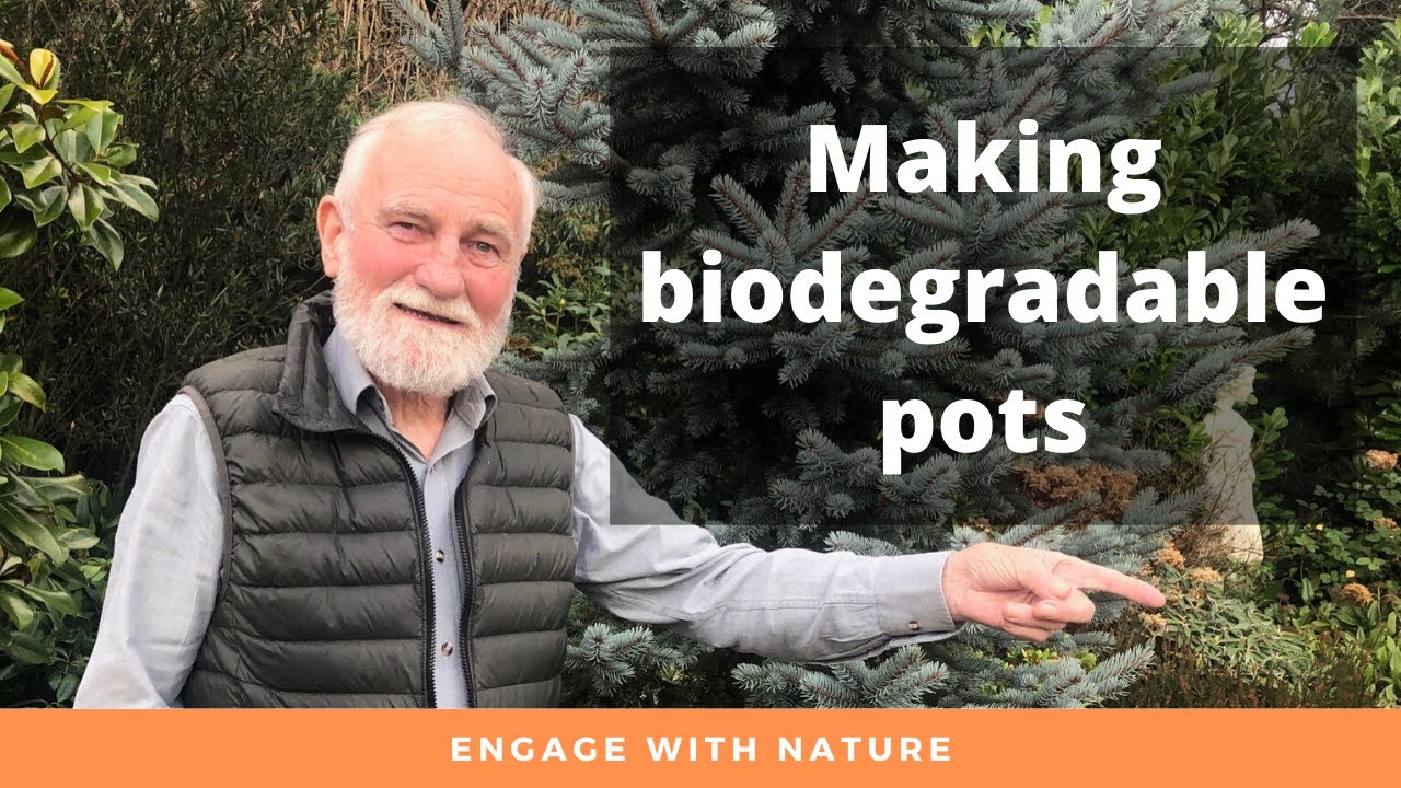 Making biodegradable pots - YouTube