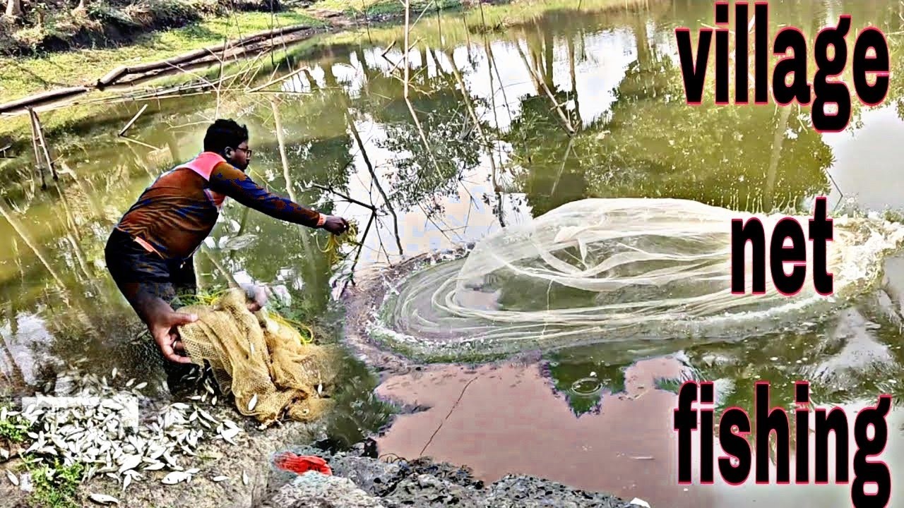 Unbelievable Cast net fishing videos || catching lot of fish by cast ...