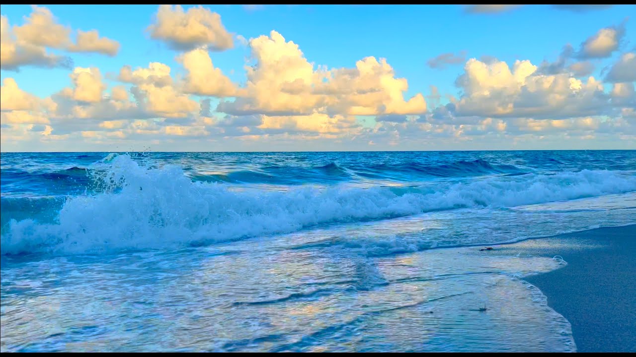 4K Dreamy Shores: 8 Hours of Windy Beach Bliss & Ocean Waves for Deep ...