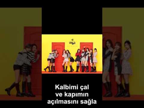 TWICE-\