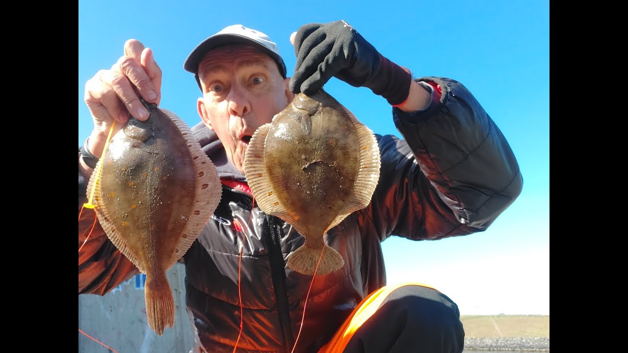 Kantvissen, Target vis = Schol en Schar - YouTube