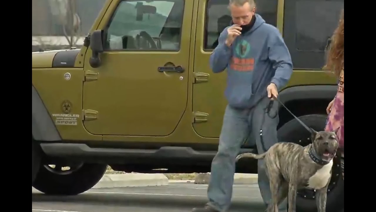 Ethan the Dog's official adoption ceremony at Kentucky Humane Society ...