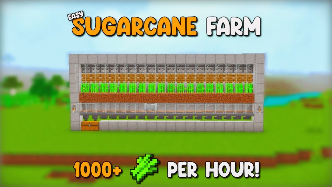 Minecraft's SIMPLE SUGAR CANE FARM 1.19 - JAVA & BEDROCK - YouTube
