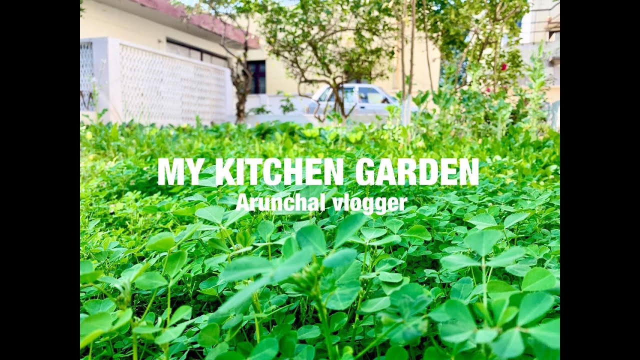 Organic kitchen garden india | Kitchen Garden At Home | Vegetable ...