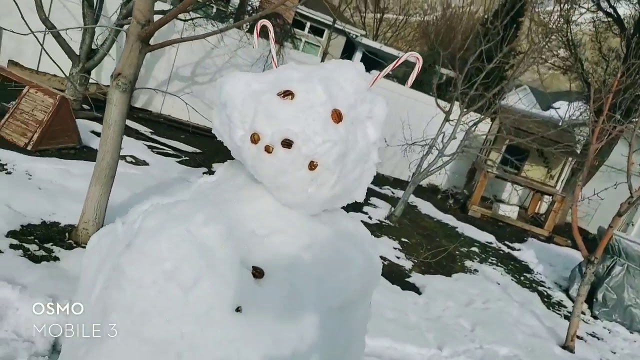 killing a snowman - YouTube