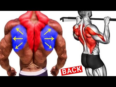 Grow Your Back With These 6 Effective Exercises | Lat Workout - YouTube