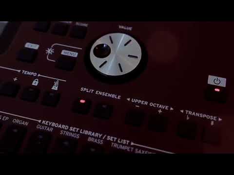 Asiman sintez - Geceler Yata Bilmirem #korg#keyboard