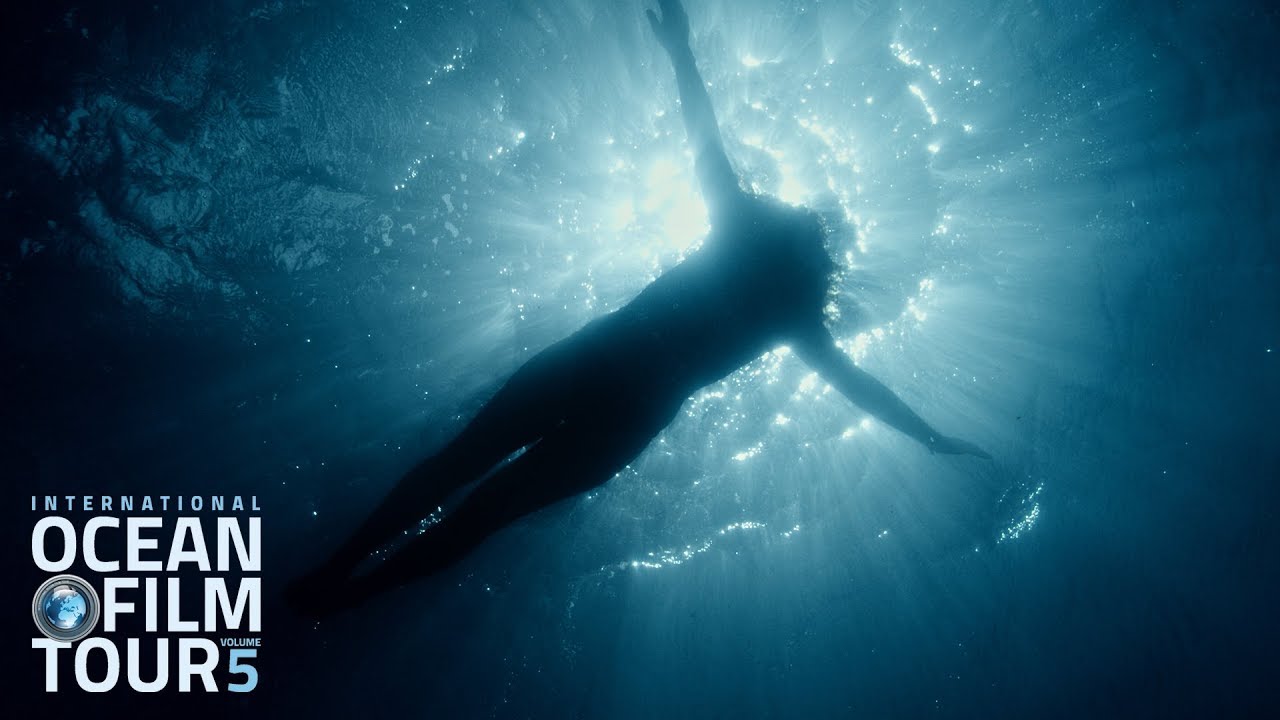 International OCEAN FILM TOUR Volume 5 | Official Trailer - YouTube