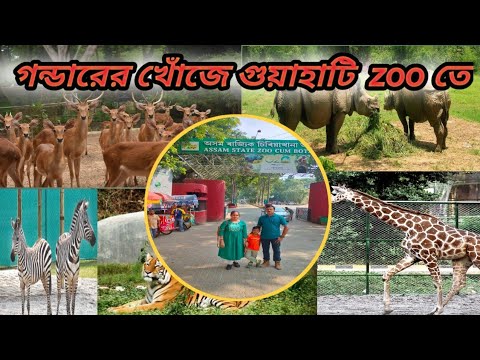 Guwahati Zoo || Assam State Zoo cum Botanical Garden || গুয়াহাটি zoo ...