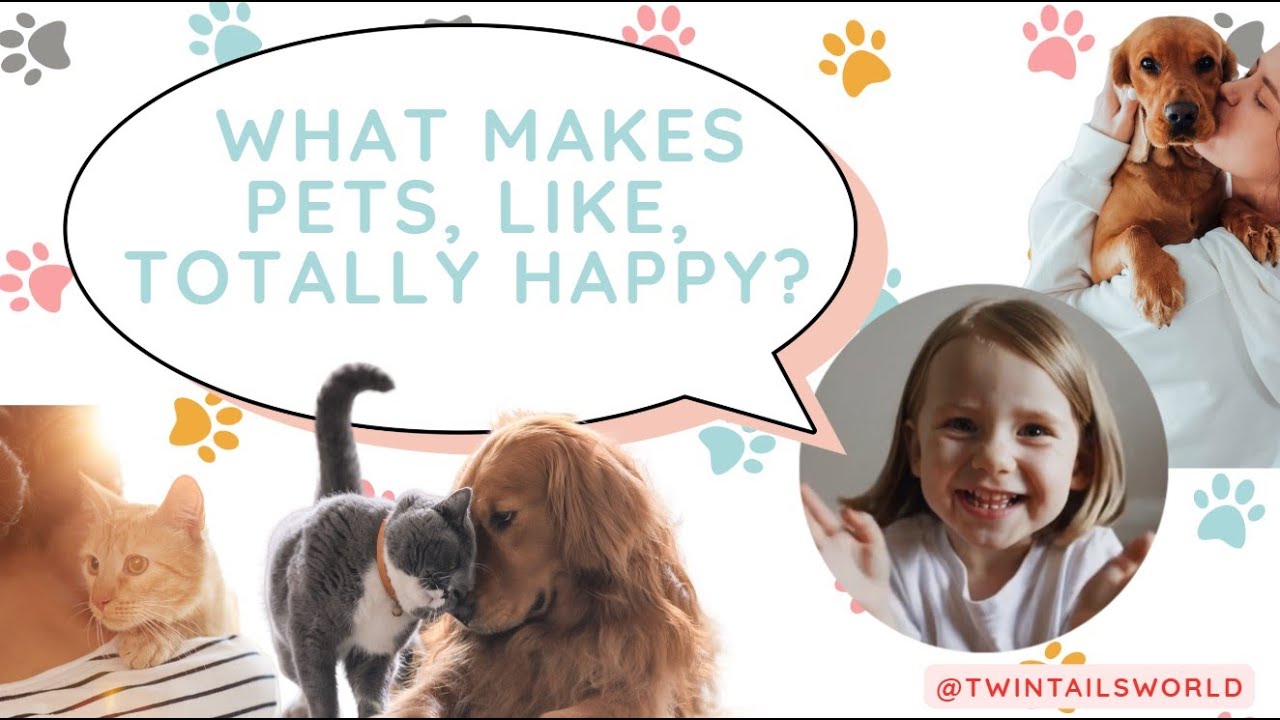what makes pets, like, totally happy? It's not just, like, a ton of ...