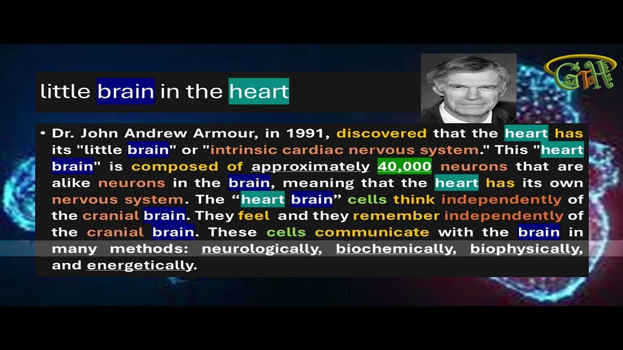 Scientific Miracle (Human): 74- little brain in the heart _ Holy Quran ...