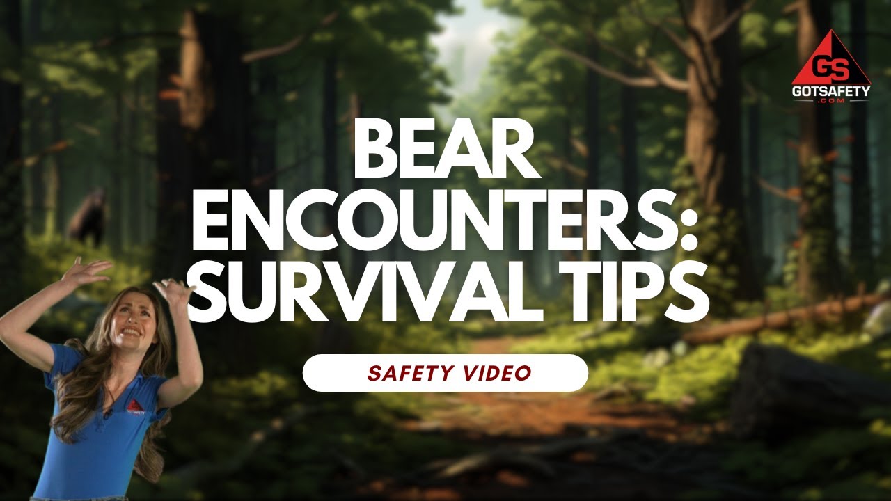 Bear Safety | Top Tips for Safe Wildlife Encounters in the Workplace - YouTube