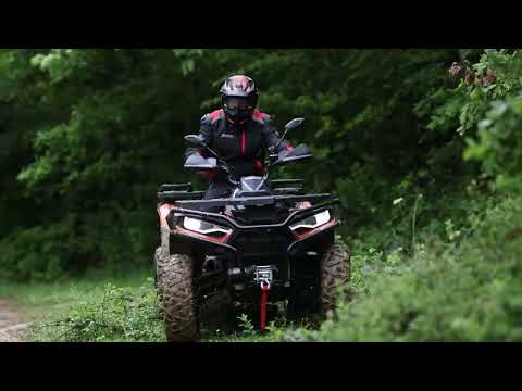 PROMAX 650L - REGAL RAPTOR
