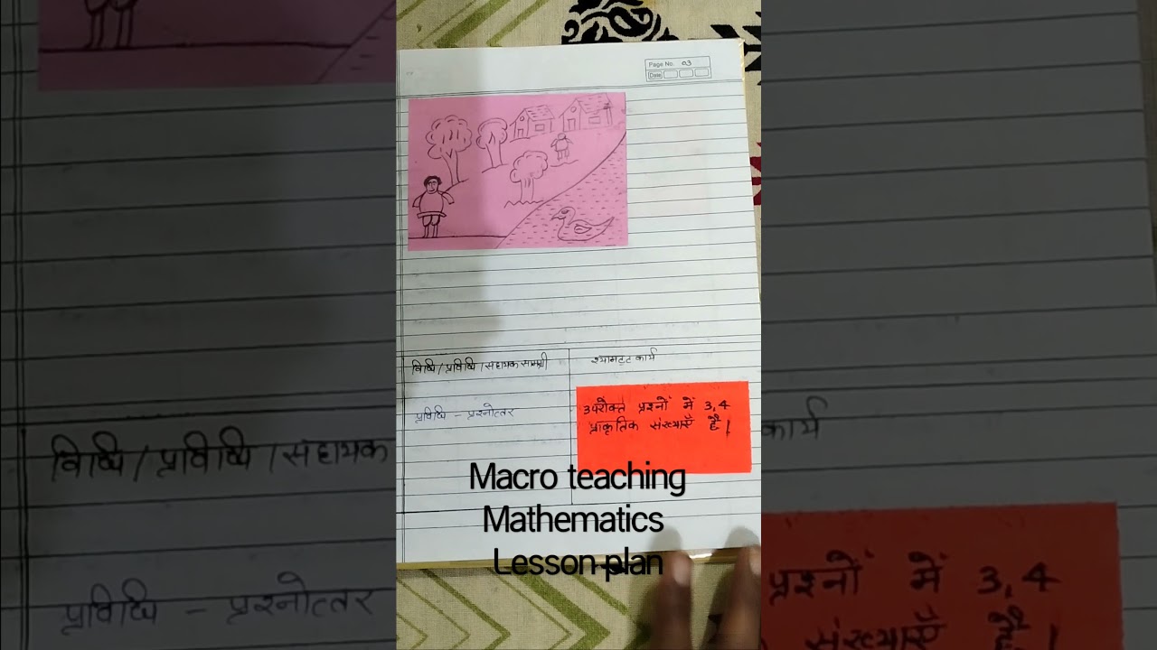 Agra University B.ed 2nd year Practical file Macro teaching lesson plan ...