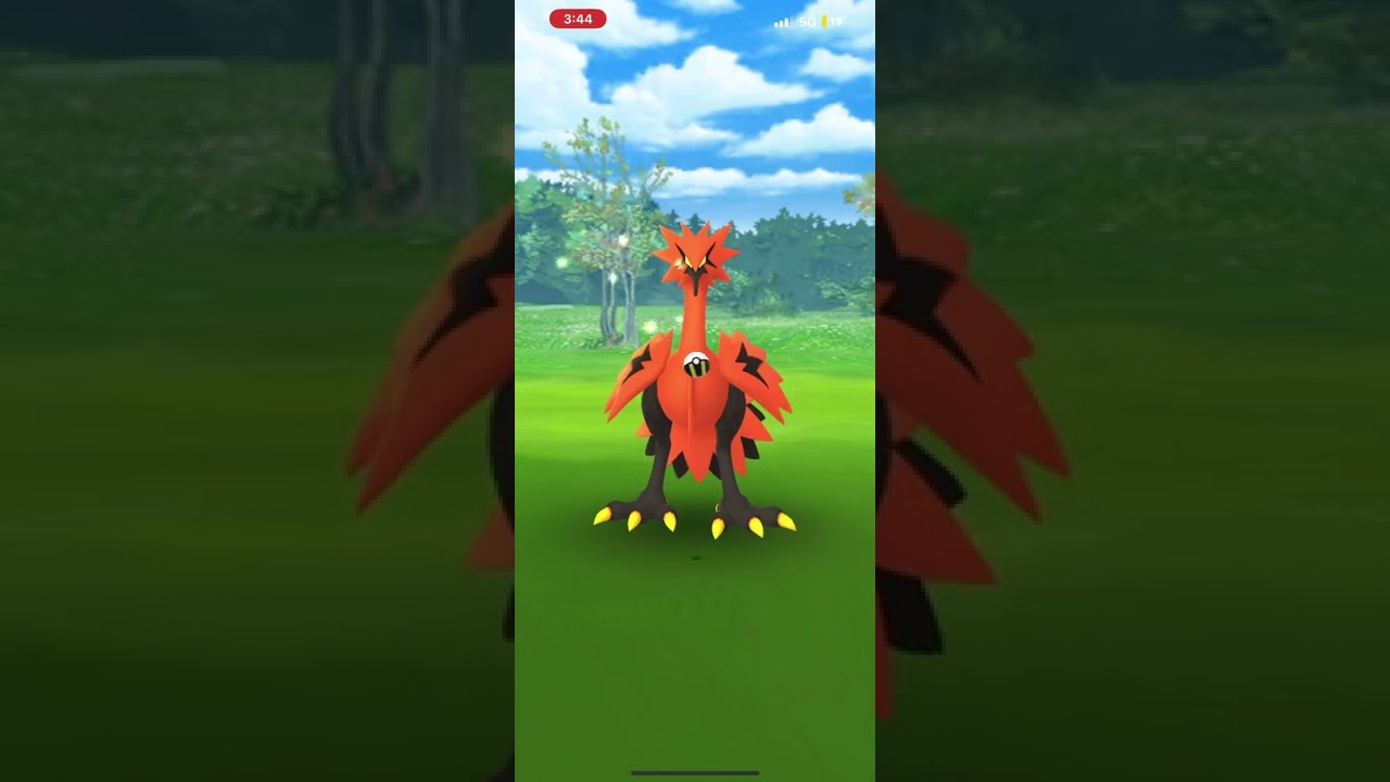 First Encounter with a Galarian Bird - YouTube