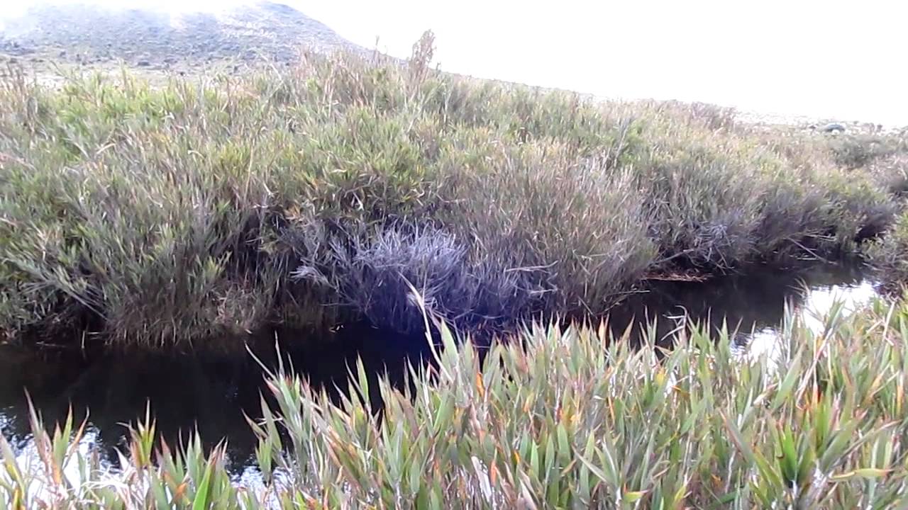 NACIMIENTO RIO MAGDALENA COLOMBIA - YouTube