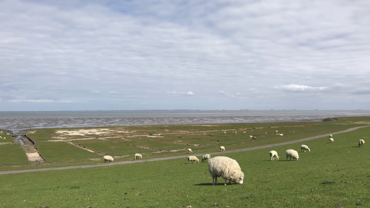 Kurzurlaub Nordsee Insel Pellworm - YouTube