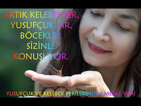 KELEBEK VE YUSUFÇUK ELİMİZDE YANGIN, DOĞA İKLİM KIRİZİ MESAJLARI NAZAN SAATÇI FARKINDALIK VİDEOSU