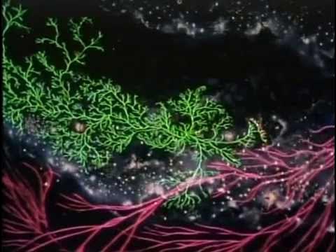 BBC - Carl Sagan - Cosmos - Enciclopédia Galáctica (Ep. 12) [PT - BR ...