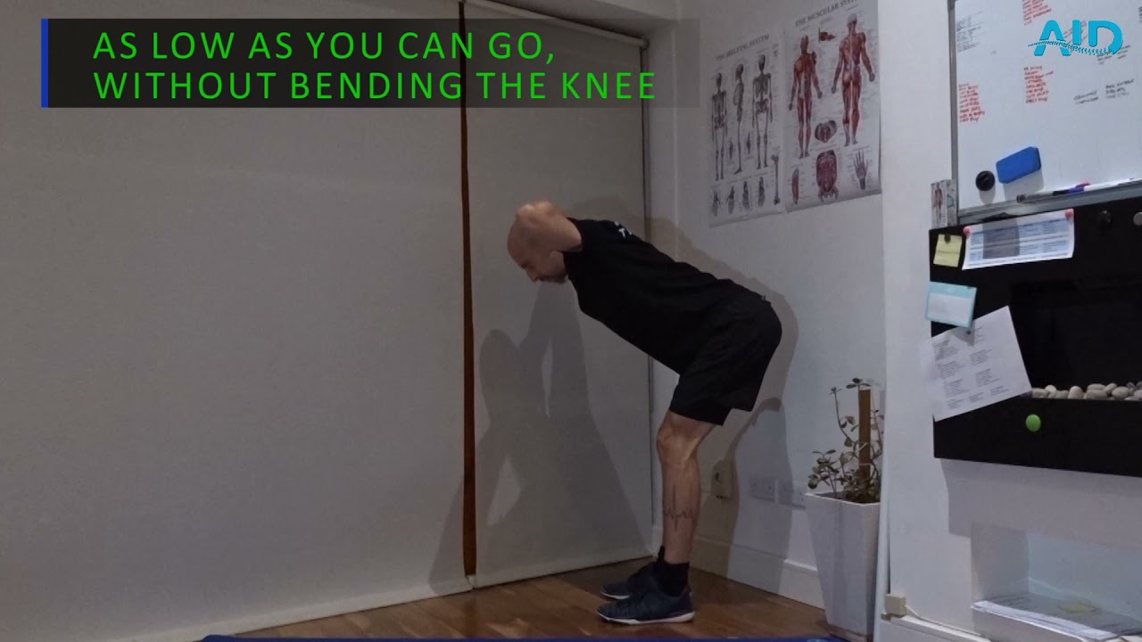Bodyweight Good Morning (Hip Hinge) - YouTube