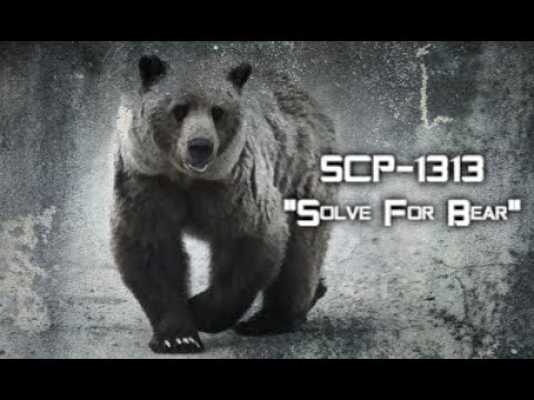 SCP-1313 "Solve For Bear" - YouTube