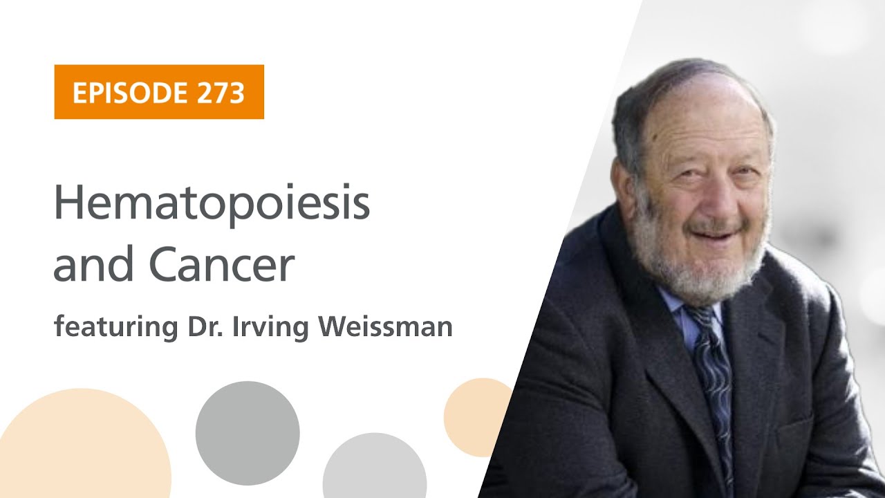 Hematopoiesis and Cancer featuring Dr. Irving Weissman | The Stem Cell ...