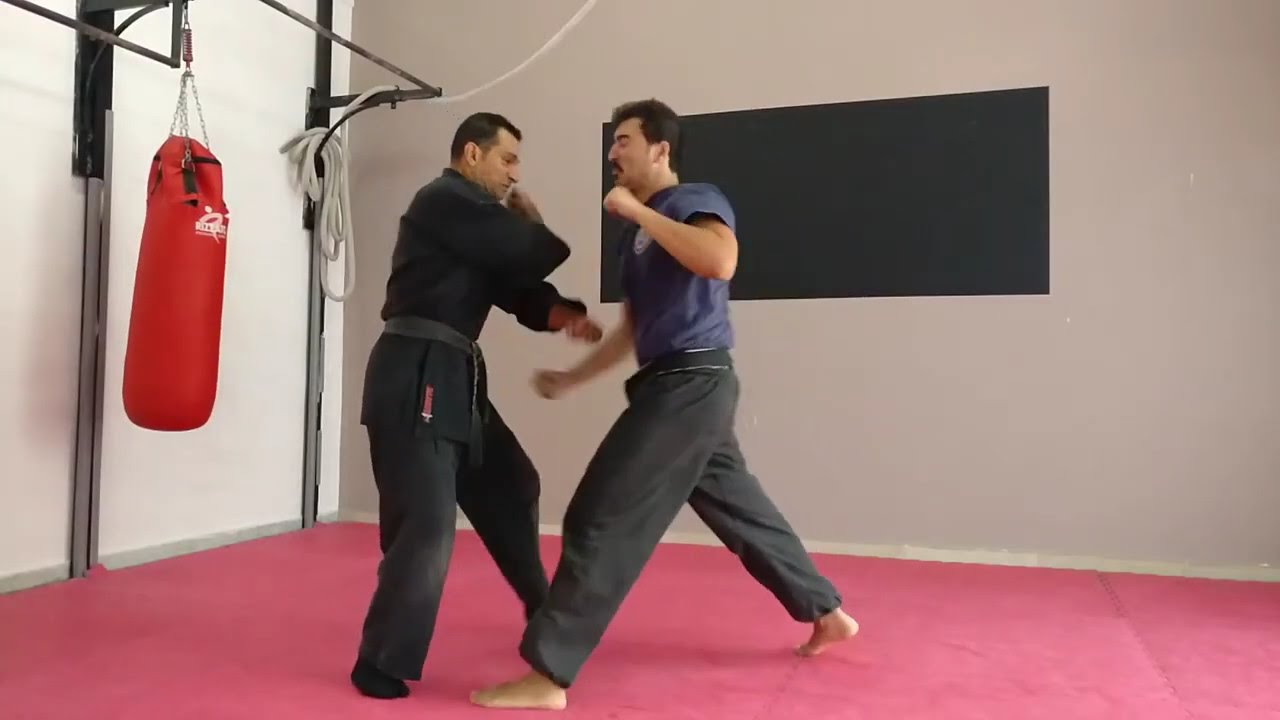 9 - KO AI RYU BU JUTSU - Kenpo & Tai Jutsu (Ju Jutsu) kata / techniques ...