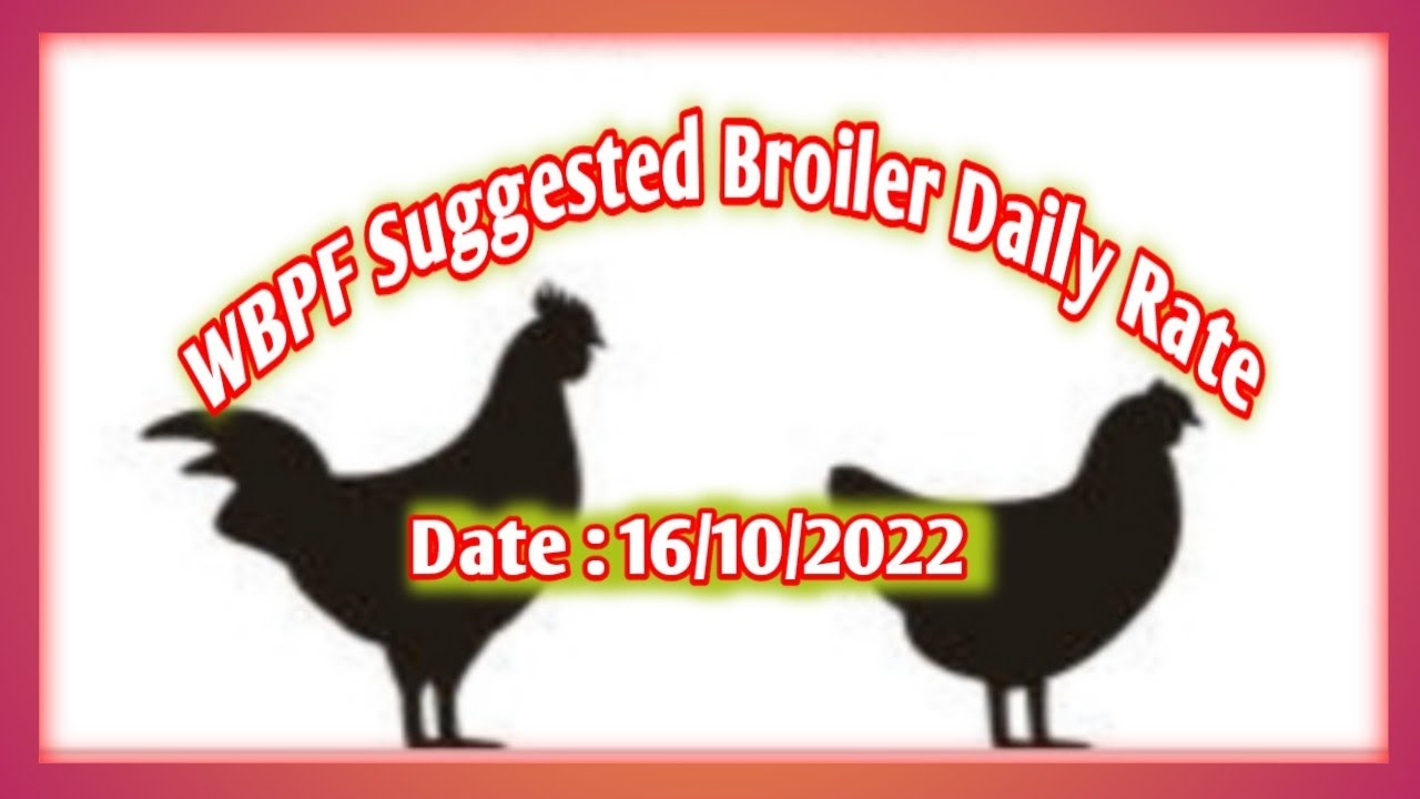 Today Poultry Rate || WBPF Broiler Rate || Latest Chicken Rate ...