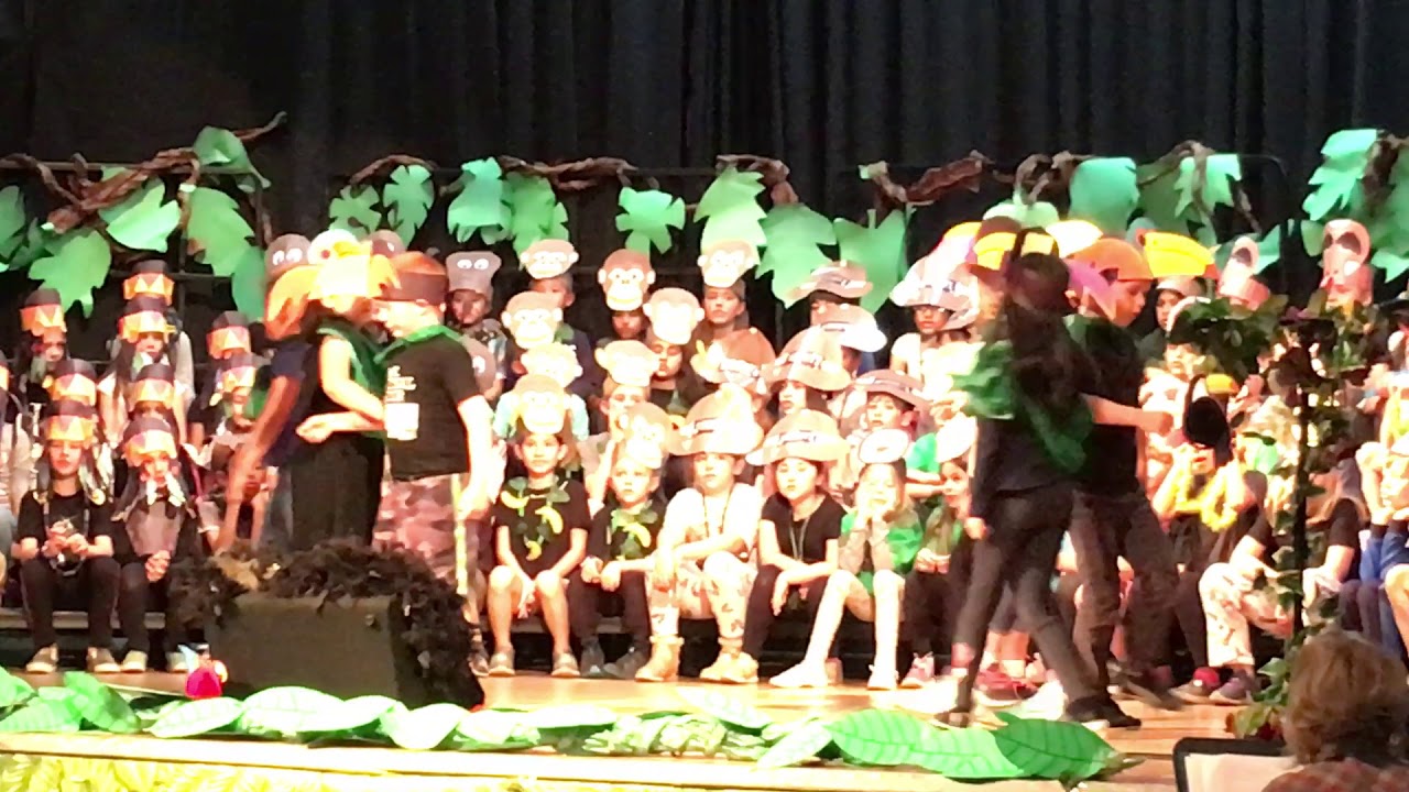 "Rumpus In The Rainforest" - Toucans - Deterding Elementary School ...
