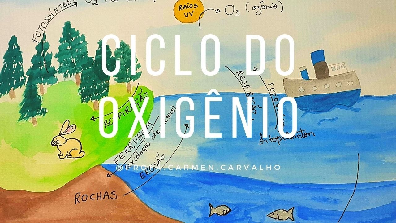 Ciclo do oxigênio - YouTube