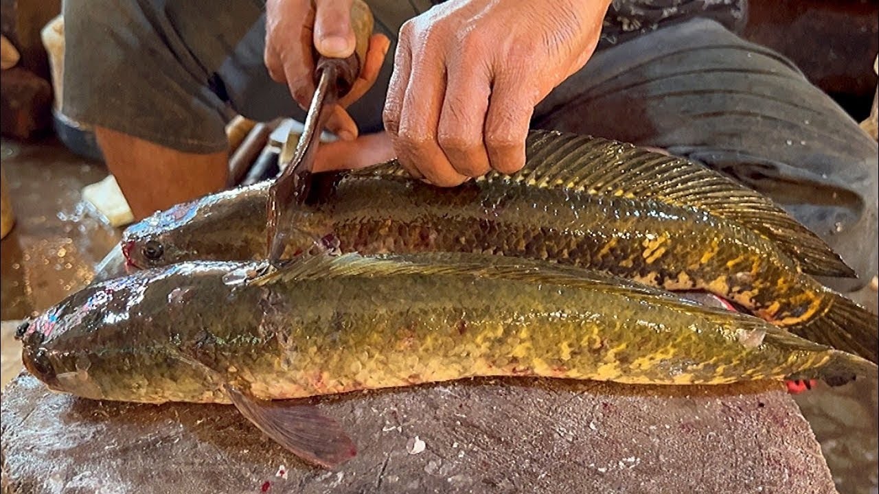 Amazing Fish Cutting Skills!! Nice Taki Fish Cutting Skills In Village ...