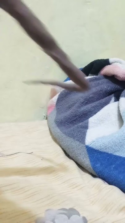 pptc ch 5 #3 - YouTube