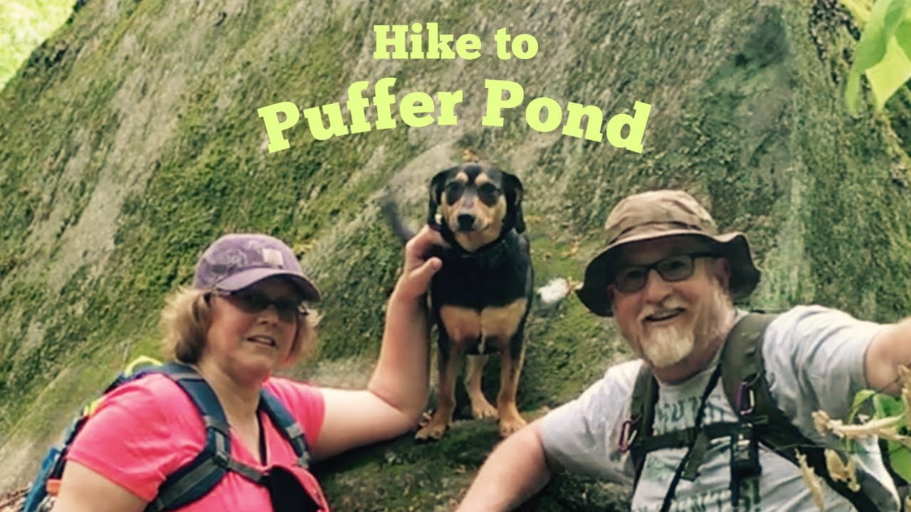 Family hike to Puffer Pond - YouTube