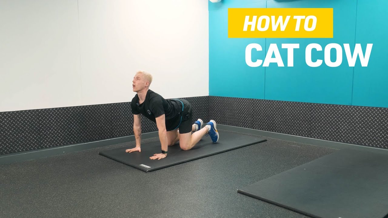 How To Do Cat Cow Stretch - YouTube