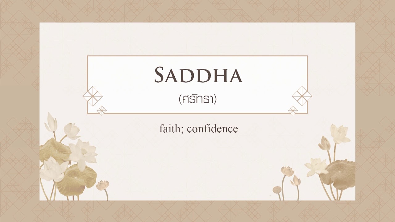 True Little Monk l Dhamma Word a day : Saddha - YouTube