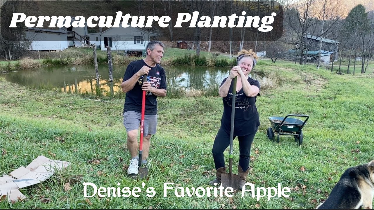 Imposters On The Homestead Planting Trees 😂 - YouTube