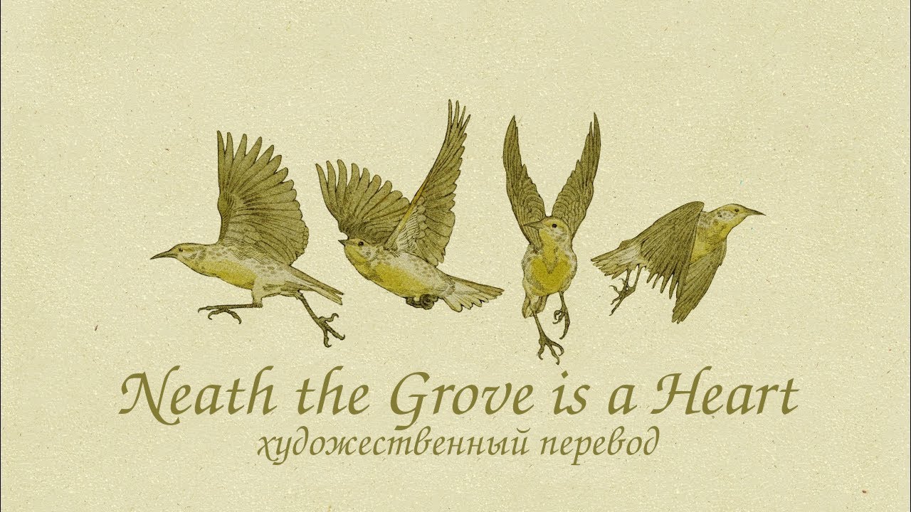 Yaelokre – Neath the grove is a heart (rus sub) - YouTube