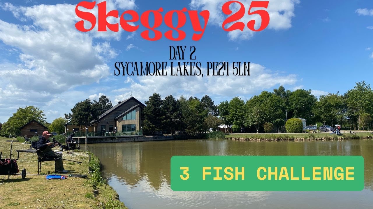 Skeggy 25 Day 2 at Sycamore Lakes. #matchfishing #fishing # ...
